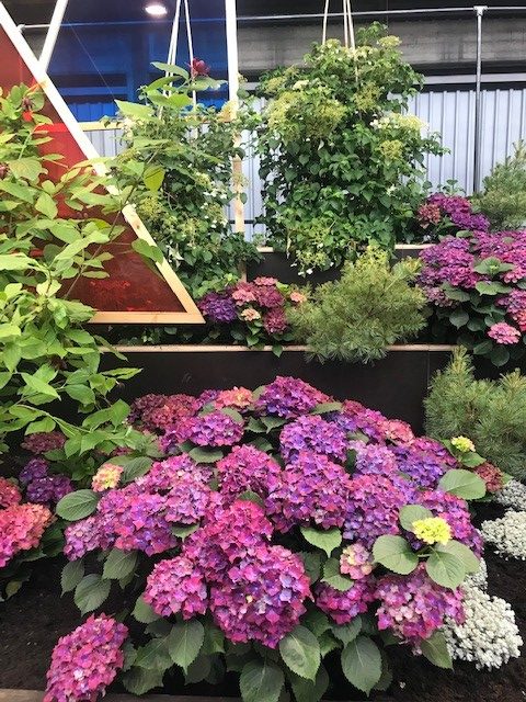 Buga Heilbronn – Baumschule Peters